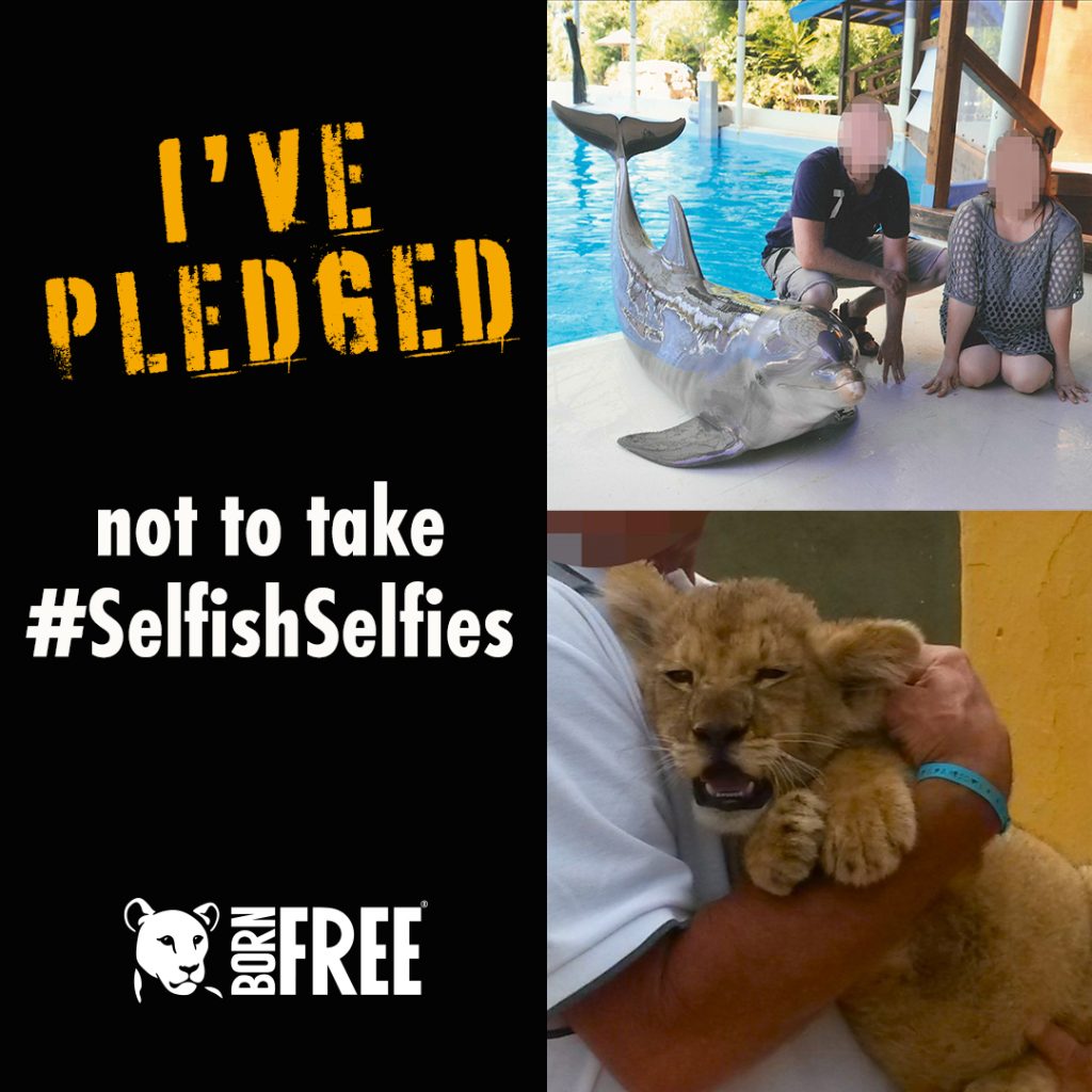 Stop Selfish Selfies - Born Free