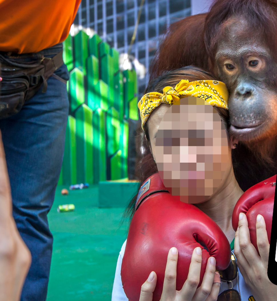 40 ways to help wild animals - Born Free