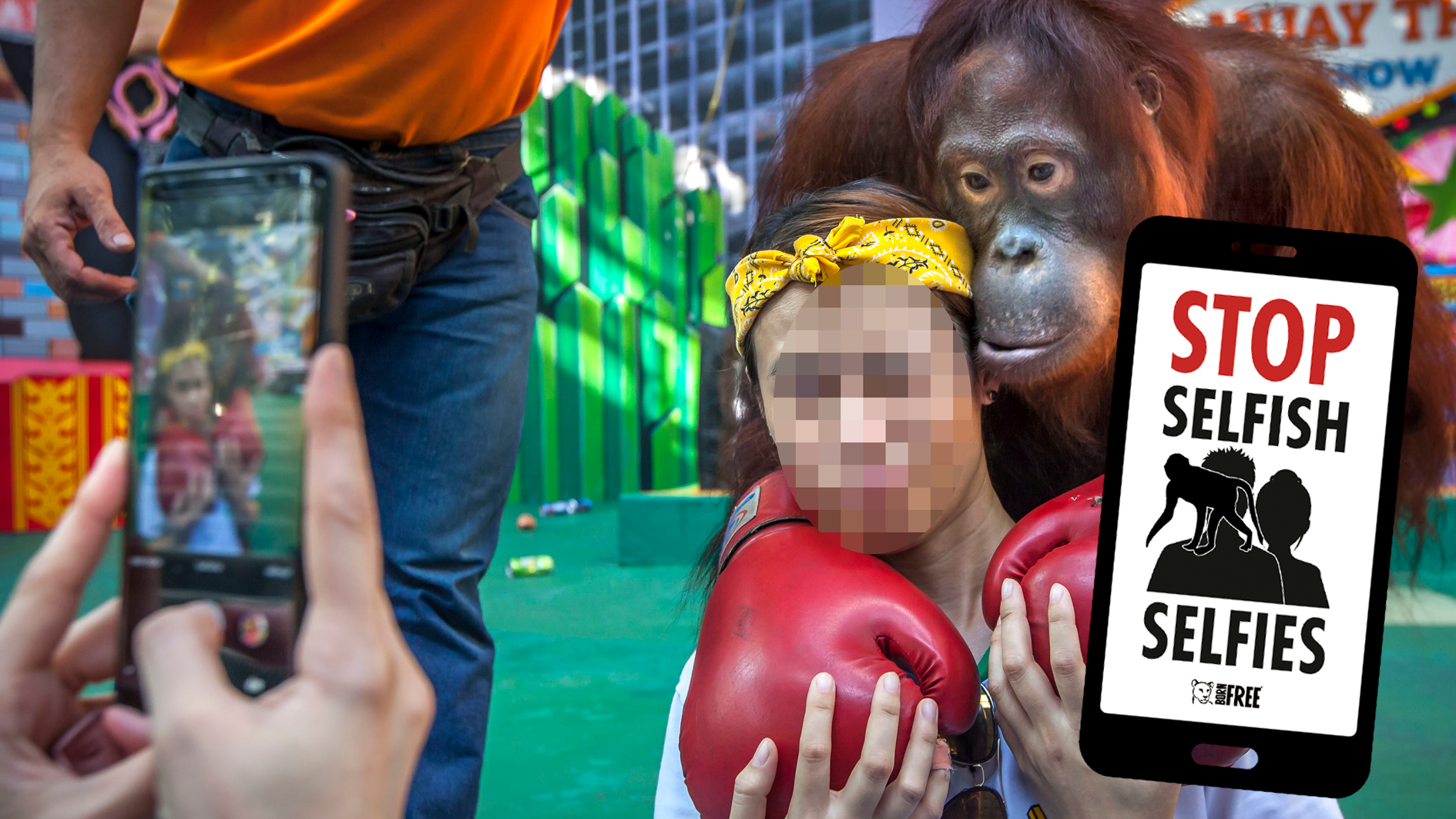 Stop Selfish Selfies - Born Free