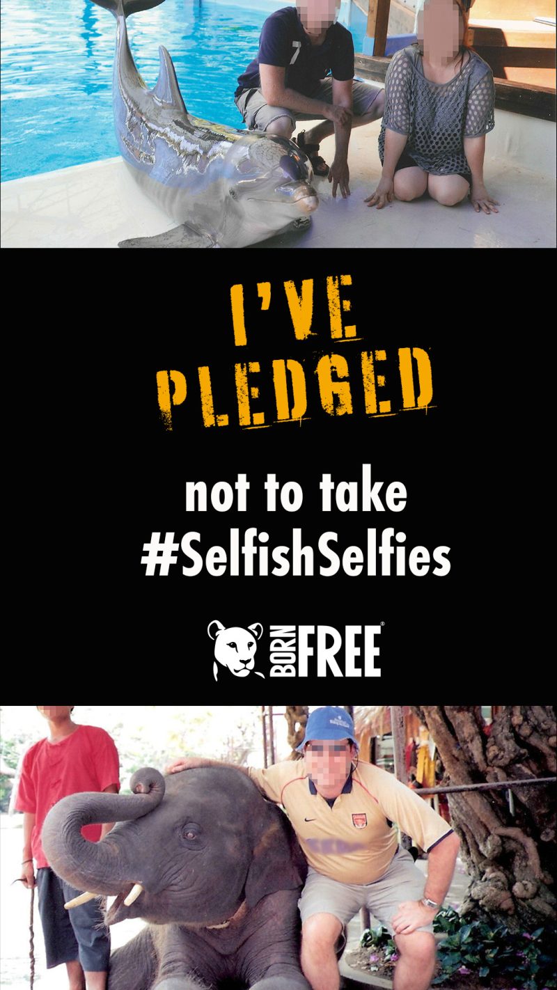 Stop Selfish Selfies - Born Free