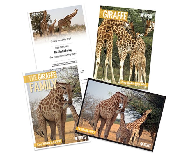 Adopt a Giraffe | Adoption Pack Included - Born Free