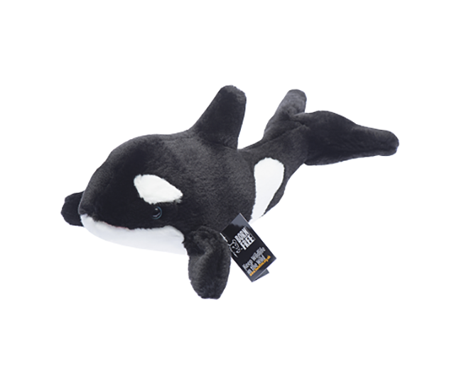 Adopt an Orca | Adoption Pack Included - Born Free