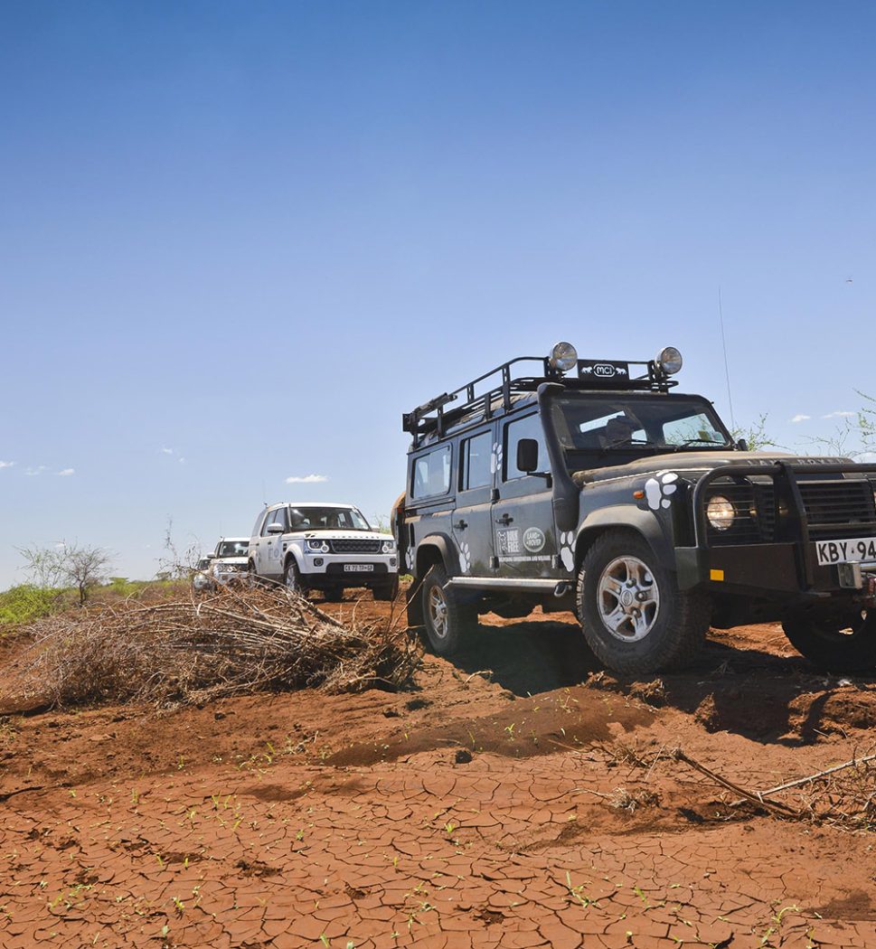 About Us - Find out more about Born Free - Born Free