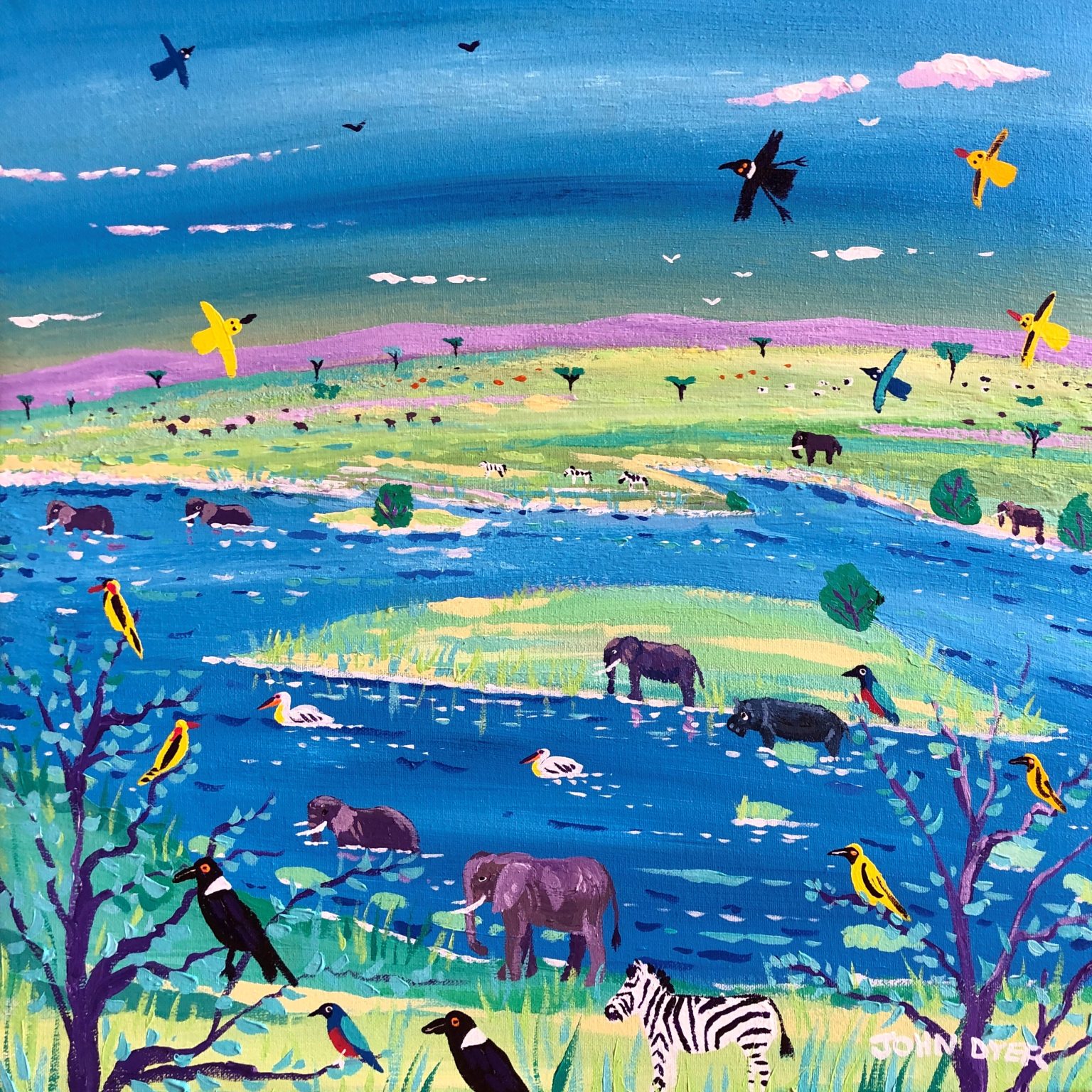 Creative Nature Programme - Born Free