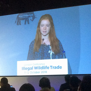 Born free at iwt: day two - Born Free