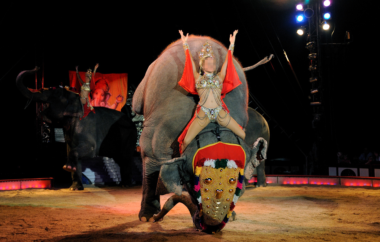 The circus issue - Born Free