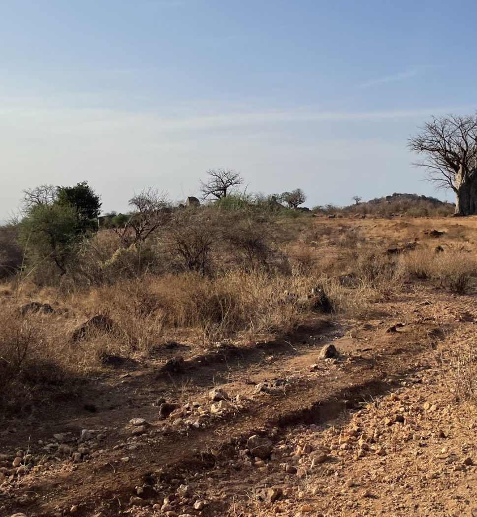 Climate Change & Biodiversity Loss - Born Free