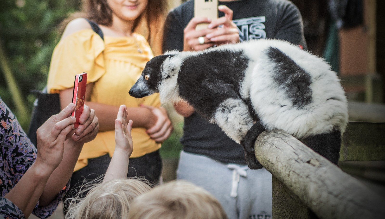 An ambassador’s take on selfish selfies - Born Free