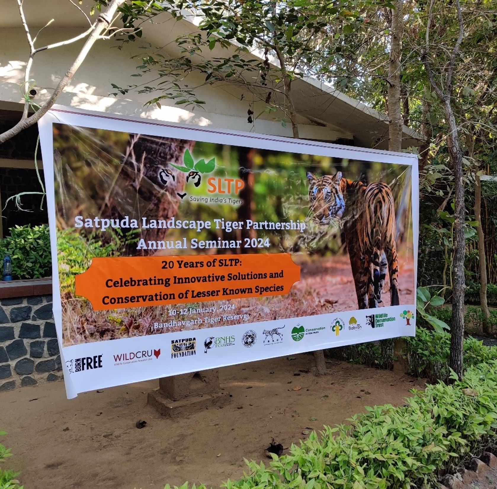 Tiger conservation: The next 20 years? - Born Free