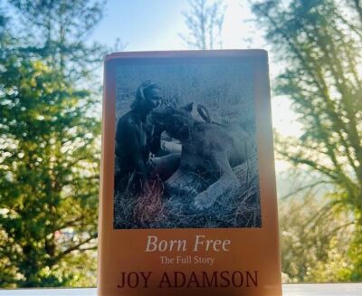 World Book Day: Born Free’s Book Recommendations - Born Free