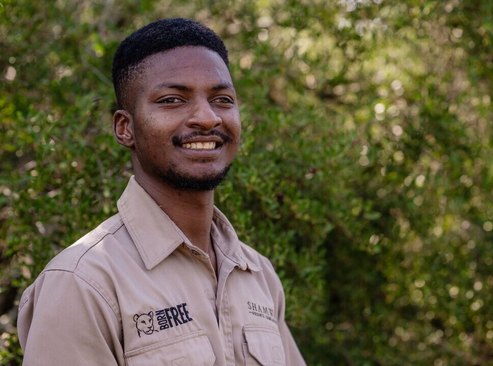 Meet the Programmes Team - Born Free