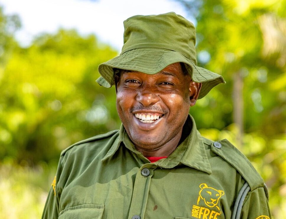 Meet the Programmes Team - Born Free