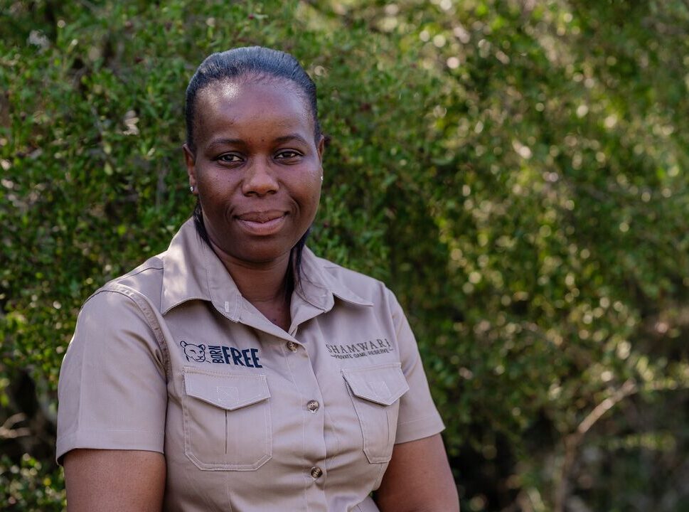 Meet the Programmes Team - Born Free