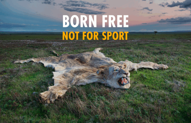 We Are Born Free - Since 1984 we have worked tirelessly for the ...