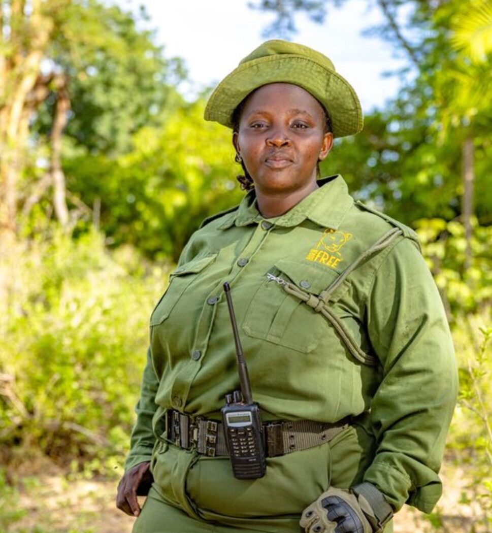 News & Updates - Born Free