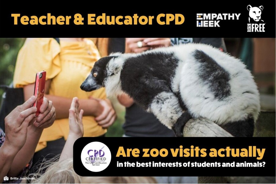 Encouraging empathy in schools - Born Free